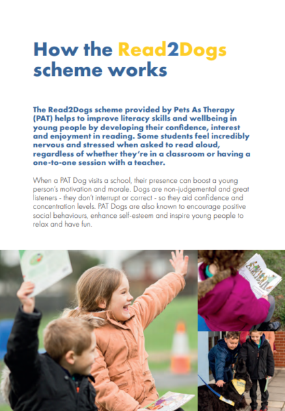 Therapy Dog - Teddy - Wadsworth Fields Primary School